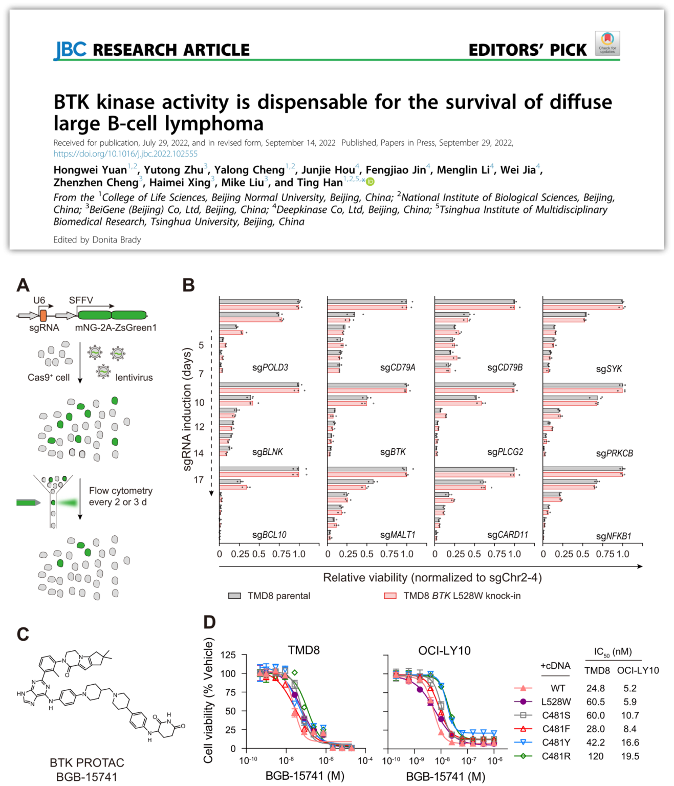 TPD应用案例 ⋆ DeepKinase 旦白志