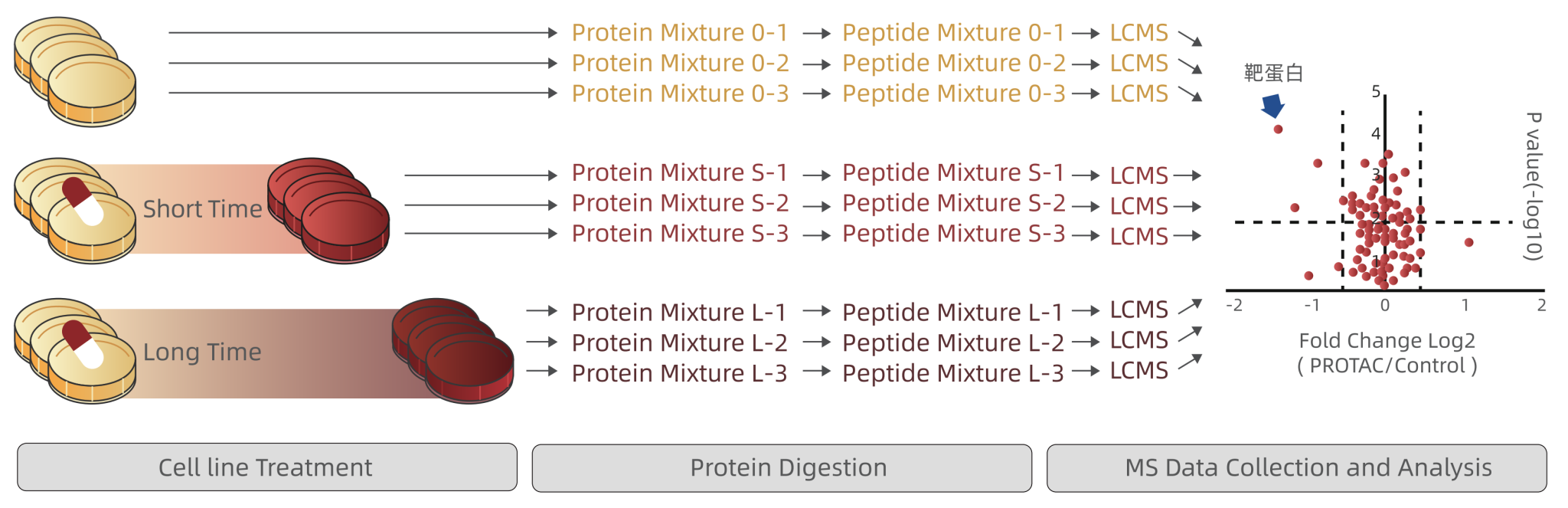 TPD应用案例 ⋆ DeepKinase 旦白志